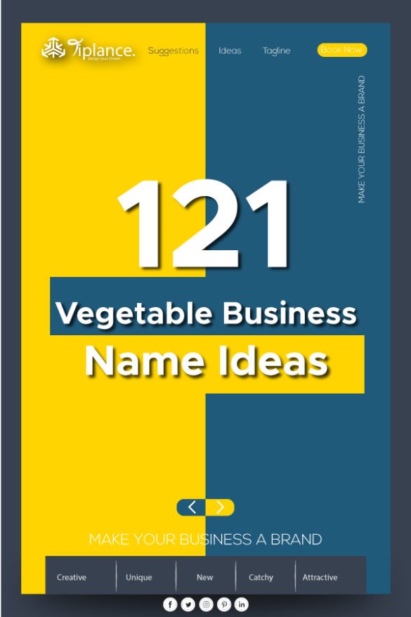 121 Vegetable Shop name Ideas For your Vegetable Business. - Tiplance