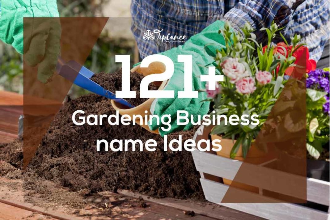 103 Catchy Studio name ideas to attract People - Tiplance