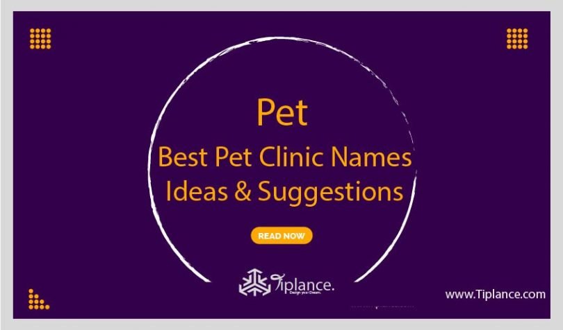 109+ Best Pet Clinic Names Ideas & Suggestions - Tiplance