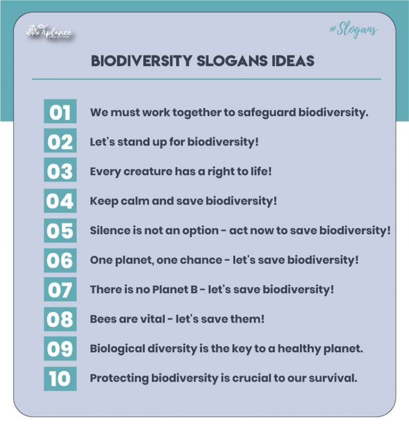 101+ Best Biodiversity Slogans Ideas & Examples - Tiplance