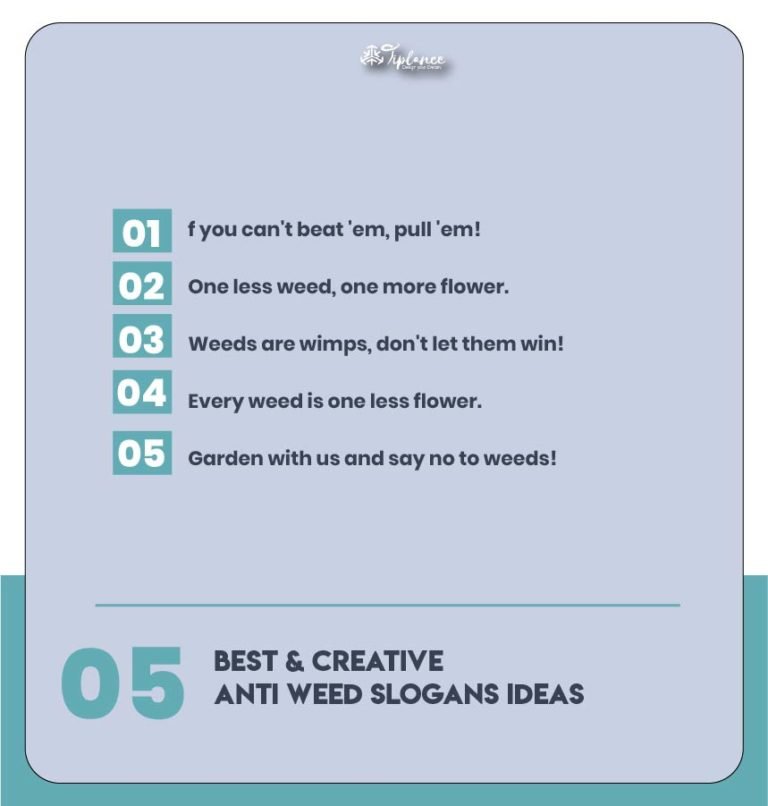 109+ Best Anti Weed Slogans Ideas & Suggestions - Tiplance