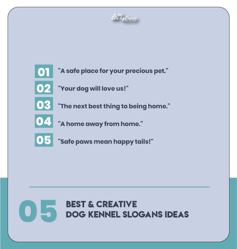 105+ Unique Dog kennel Slogans Ideas & Suggestions - Tiplance