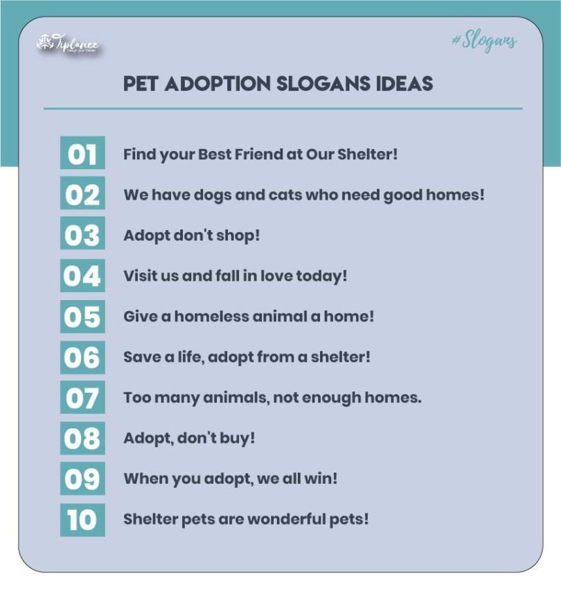105 Unique Pet Adoption Slogans Ideas Samples Tiplance