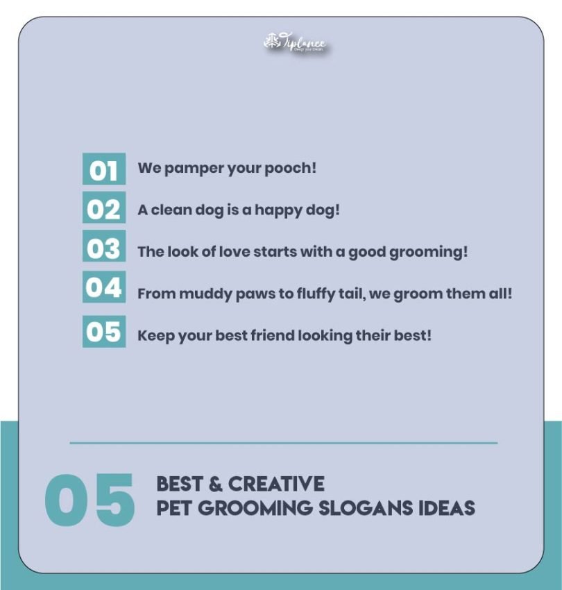 105 Funny Dog Grooming Advertising Slogans Taglines Ideas Tiplance