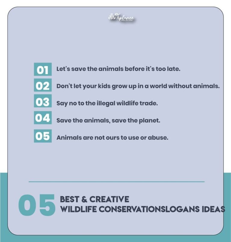 101+ Best Wildlife Conservation Slogans Ideas & Examples - Tiplance