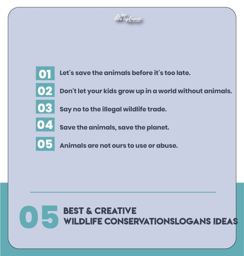 101+ Best Wildlife Conservation Slogans Ideas & Examples - Tiplance