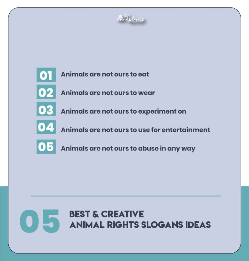 105+ Best Animal Rights Slogans & Taglines Samples - Tiplance