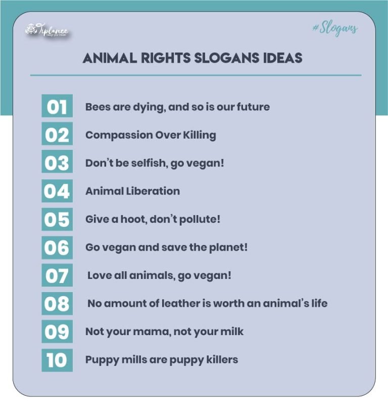 105+ Best Animal Rights Slogans & Taglines Samples - Tiplance