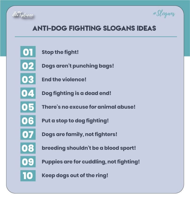 105+ Unique Anti-Dog Fighting Slogans Examples & Samples