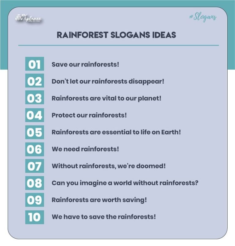 109+ Best Rainforest Slogans Examples & Suggestions - Tiplance