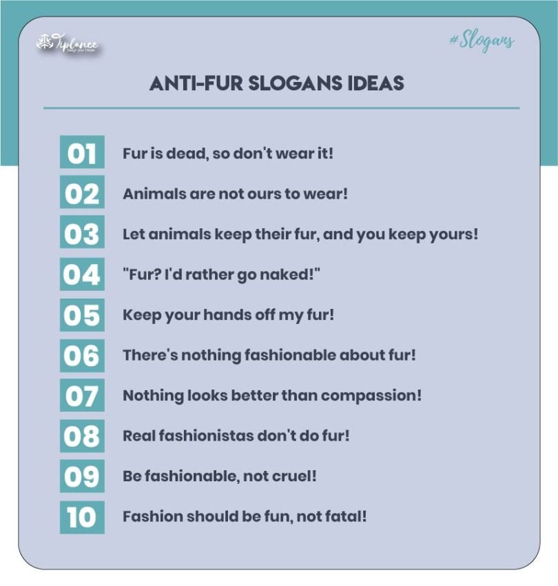 101+ Best Anti-Fur Slogans Ideas & Taglines - Tiplance